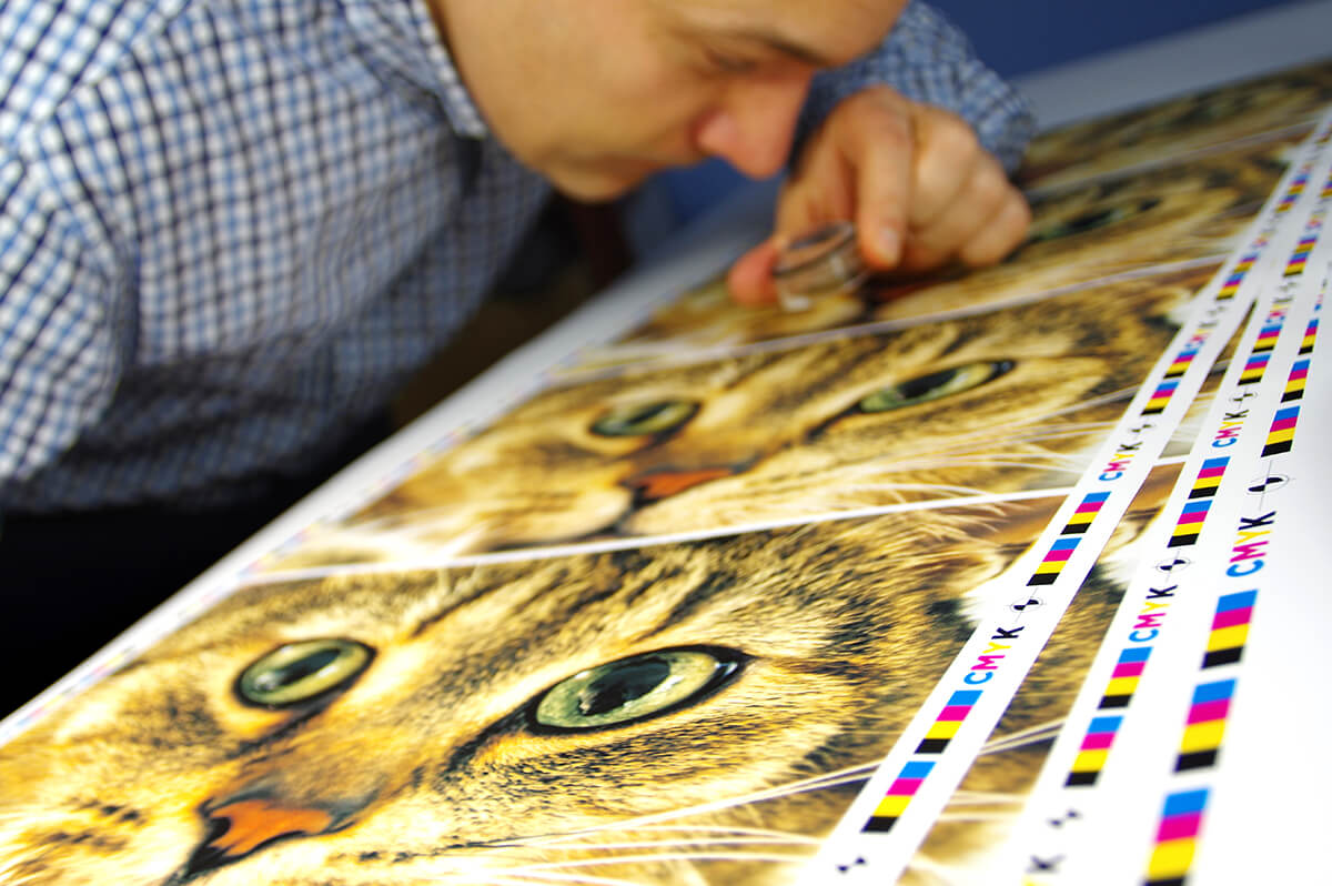 Hybrid vs. Stochastic Screening in Lithographic Printing: What You Need ...